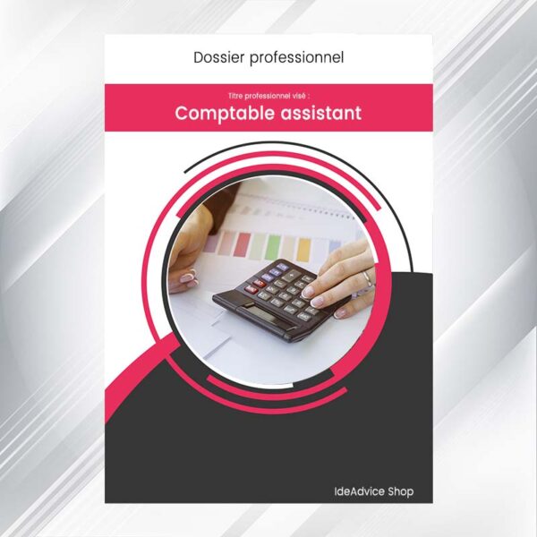 Dossier Professionnel Dossier Professionnel Comptable assistant