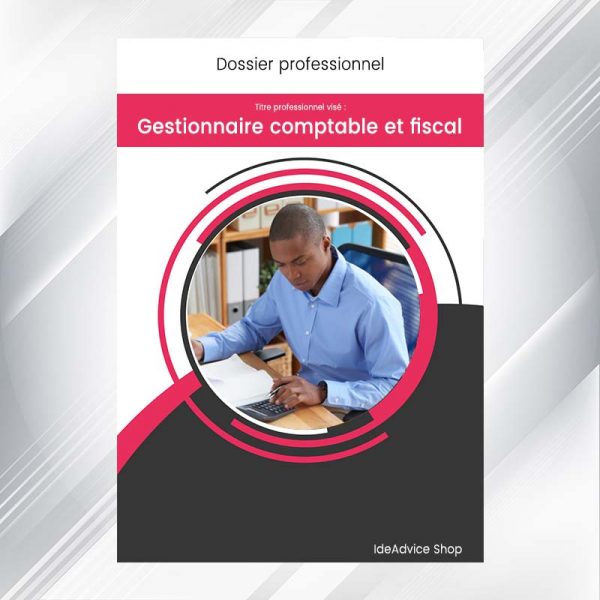 Dossier Professionnel Gestionnaire Comptable Et Fiscal