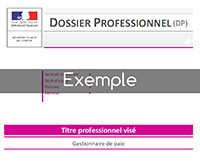 Le dossier professionnel (DP) remplace le dossier de synthèse de pratique professionnelle (DSPP)