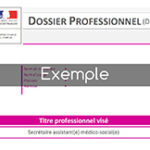Le dossier professionnel (DP) remplace le dossier de synthèse de pratique professionnelle (DSPP)