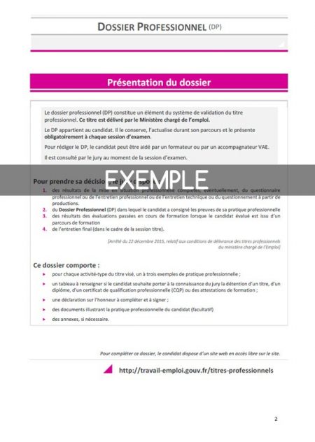 Exemple De Dossier Professionnel Gestionnaire De Paie Word Ou Pdf