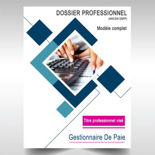 Télécharger un modèle de DSPP ou de Dossier professionnel formation AFPA