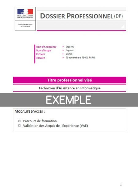 Exemple de dossier professionnel Technicien d'assistance en informatique Exemple de dossier professionnel Technicien d'assistance en informatique