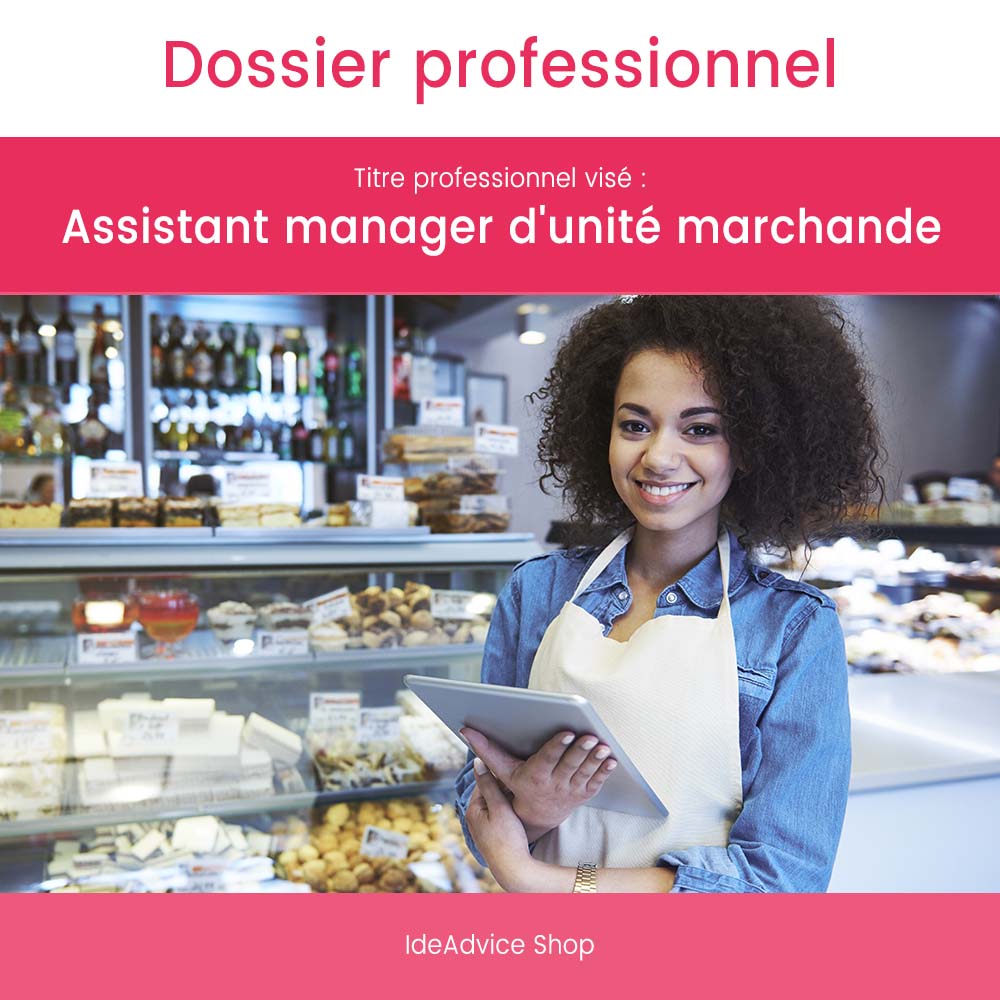 Exemple De Dossier Professionnel Rempli | Dossier Professionnel AMUM - Etudes