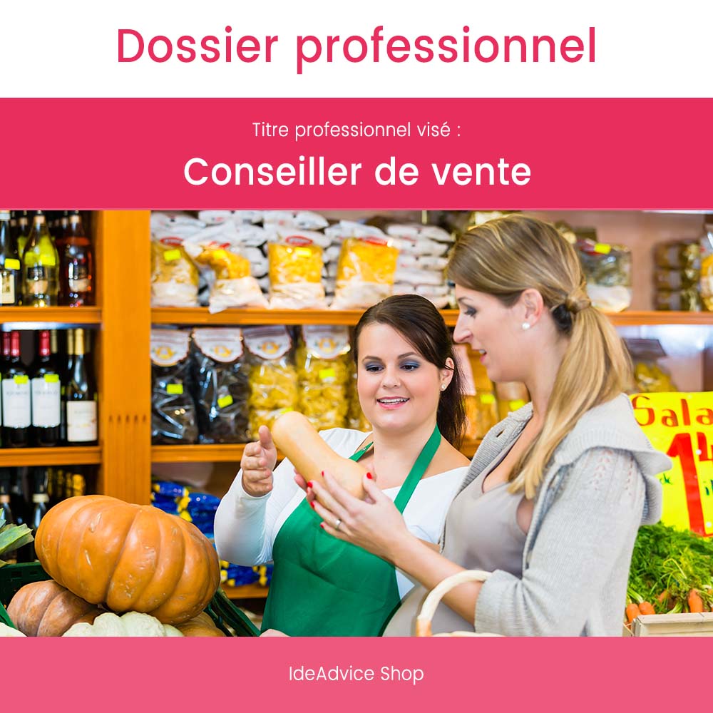 Trouver un modèle de dossier professionnel Conseiller de vente